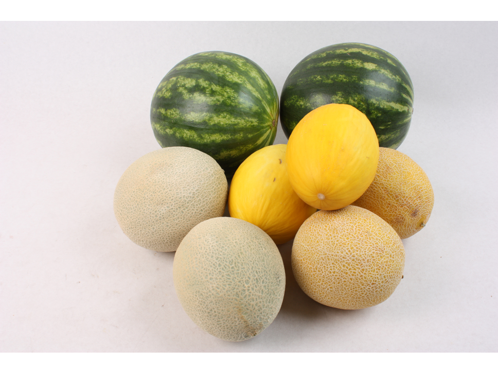 Meloner af forskellige typer: Honningmelon, Cantaloup melon, Galia ...