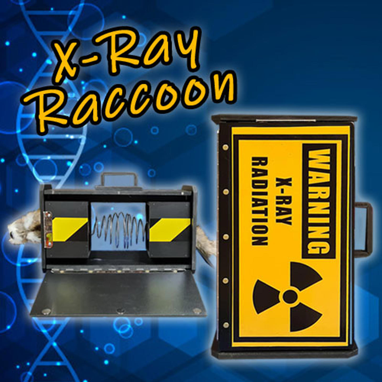 Buy X-RAY RACCOON at Pegani