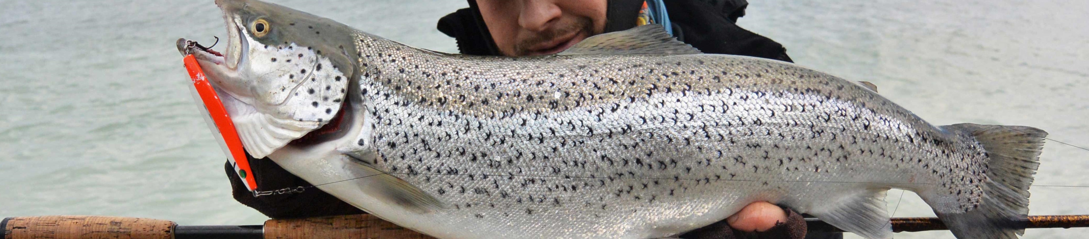 Wobblers Lures - Saltwater Lures | Westin Fishing