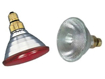 Køb Varmepære / Varmelamper hos Ornestation Mors ApS